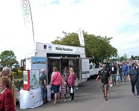 Ty-Mawr Lime Ltd - Lime Plaster, Putty, Mortar, Limewash, Limecrete and more.